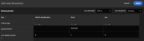 Classification Set Schema Adobe Analytics