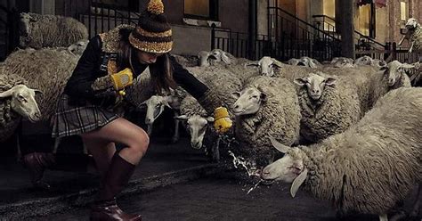 Fuck Sheep Imgur