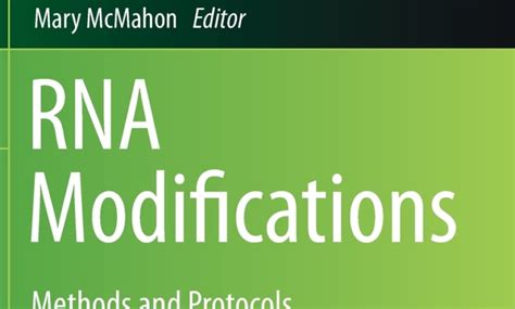دانلود کتاب Rna Modifications Methods And Protocols گیگاپیپر