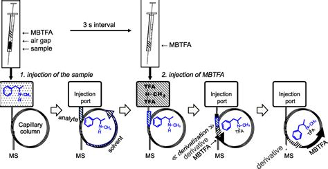 Figure 1 From Development Of A Two Step Injector For Gc Ms With On Column Derivatization And