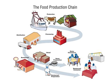 Food Supply Chain Management For Restaurants Dr Soteris Kefalas