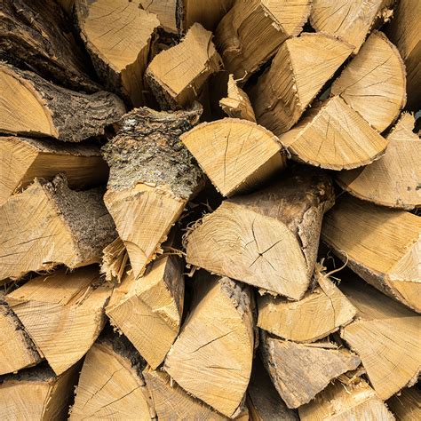 What Are The Best Types Of Firewood To Burn In Your Fireplace