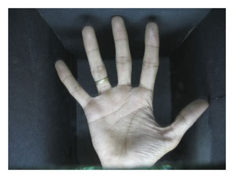 Lightweight Verification Schema For Image‐based Palmprint Biometric Systems Giełczyk 2019