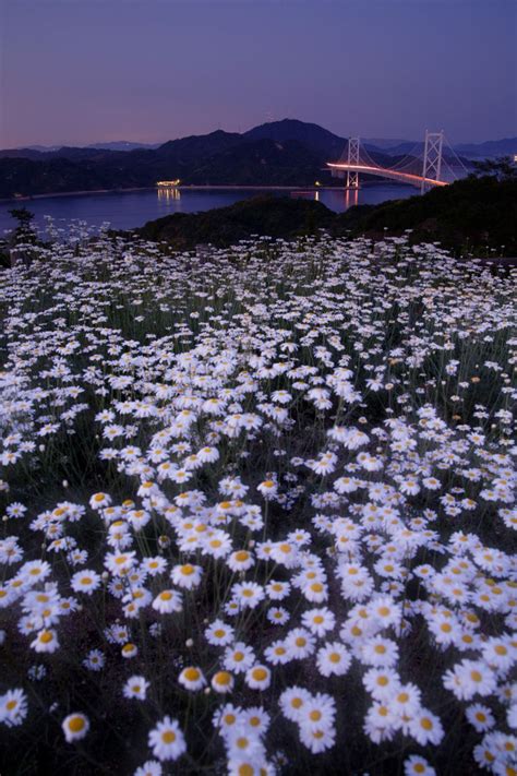 因島大橋 GANREF
