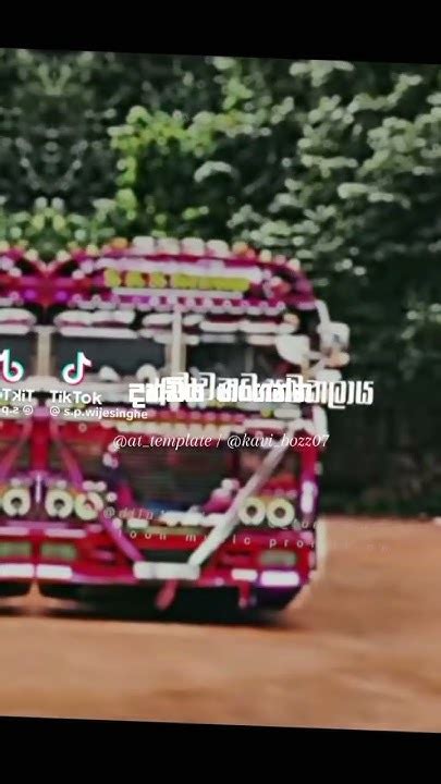 දම් රැජිණි Youtube