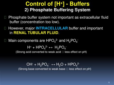 Ppt Renal Physiology 10 Acid Base Balance 2 Buffers System