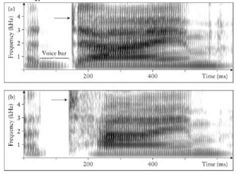 Source Filter Model Of Speech Sounds Waygaze