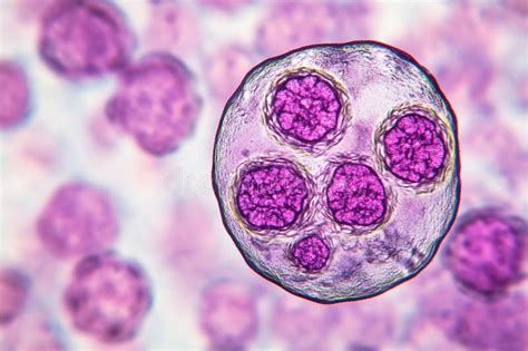 Exploring The Vibrant World Of Microscopic Cells Under Magnification In A Lab Generative Ai