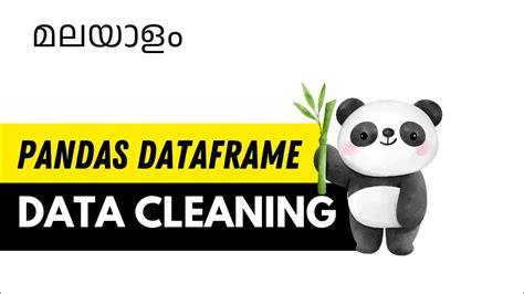 Step By Step Data Cleaning In Python Pandas Malayalam Tutorial 4 Youtube