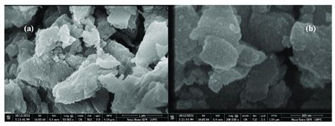 Sem Micrographs Of Fe Mn Nps At 1 µm A 200 Nm B Download Scientific Diagram