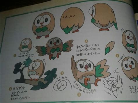 Rowlet Concept Art Pokémon Amino