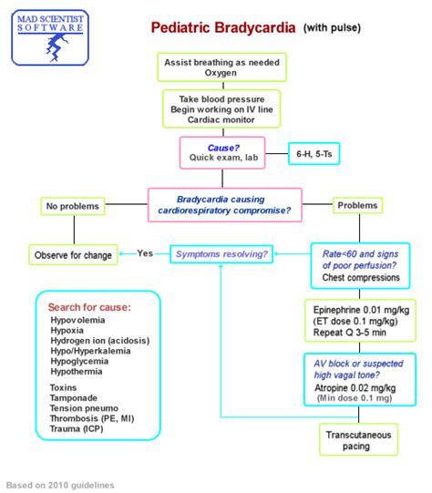 Algoritma ACLS Advance Cardiac Life Support Algorithm Medical Articles