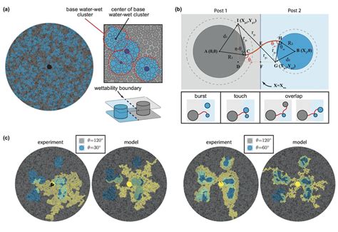 A We Develop A Dynamic Pore Network Model To Simulate Fluid Fluid