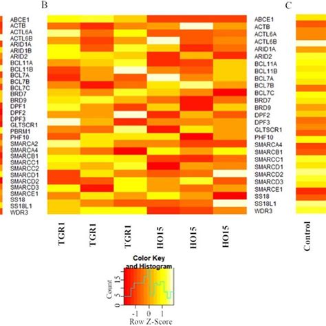 Gene Expression Analysis A The Heatmap For Log FPKM Values Of Download Scientific Diagram