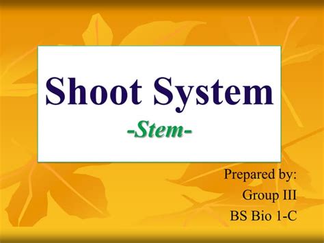 Roots System Pptx Roots System Pptx