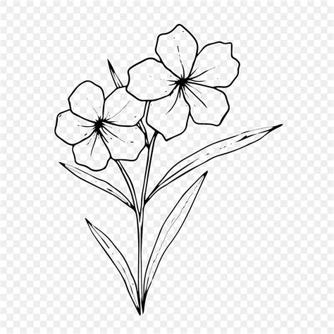 Beautiful Flower Sketch A Beginners Guide To Drawing Stunning Floral Art