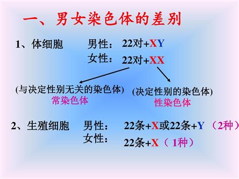 世上孩子都是宝 男孩女孩都一样 ppt download