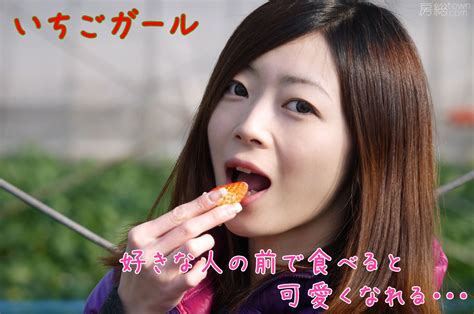 房総ガール 房総タウン