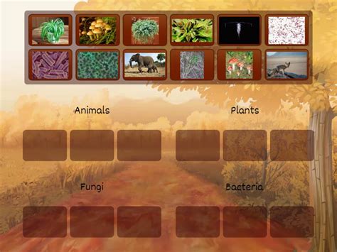 Classifying Living Thing Group Sort