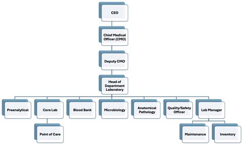 Organizational Structure Medical Laboratory