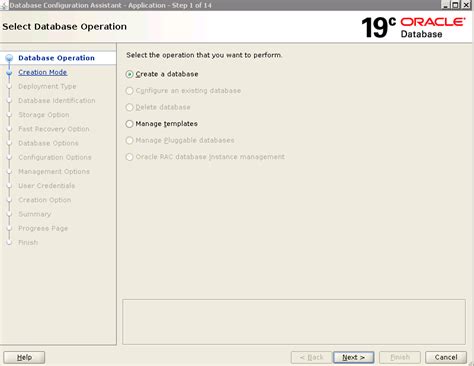Step By Step Guide To Install Oracle 19c Rac With Asm And Version Upgrade