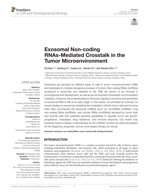 Pdf Exosomal Non Coding Rnas Mediated Crosstalk In The Tumor Microenvironment