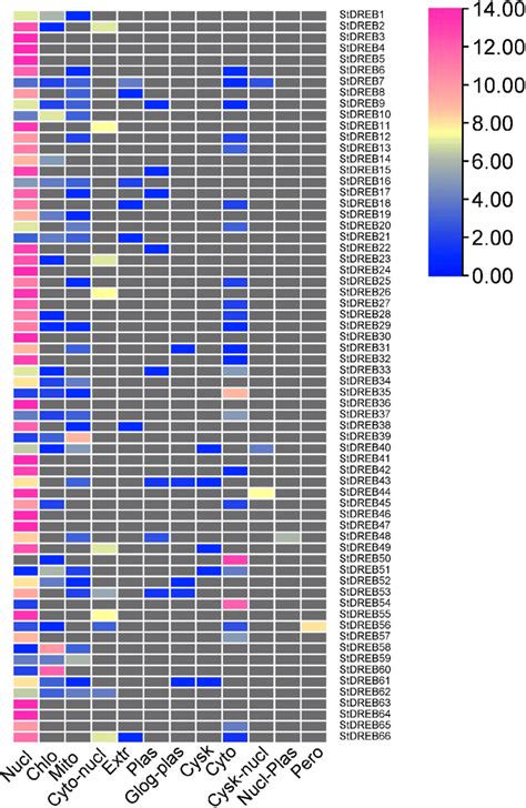Heat Map Of Subcellular Localization Predictions For 66 Stdreb Download Scientific Diagram