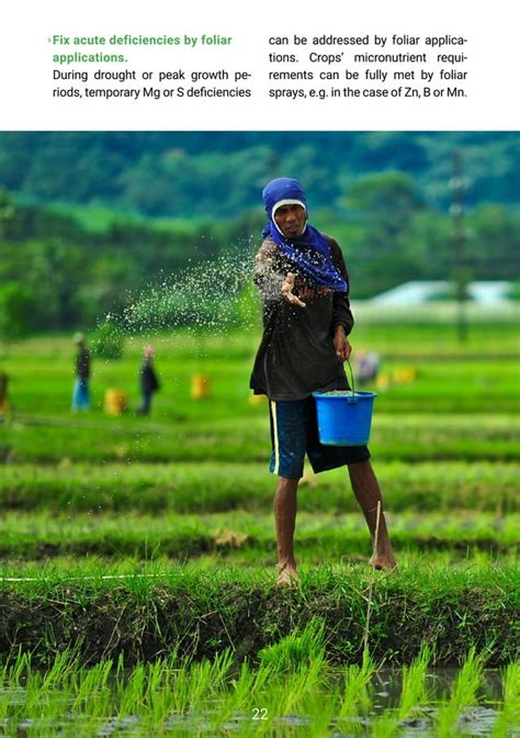 Nutrient Management Handbook Ifa2016 Pdf