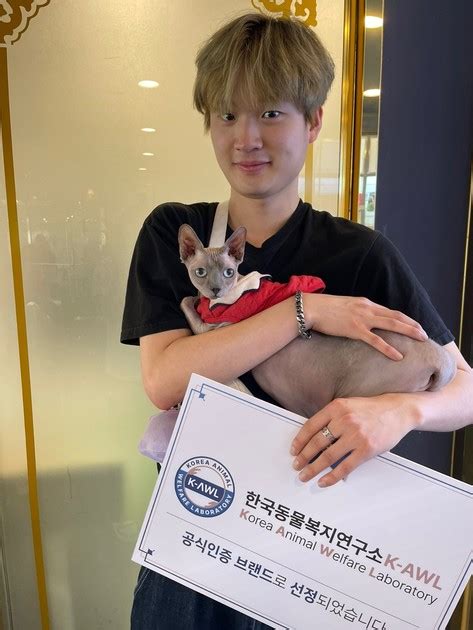 스핑크스 아롱 렉돌분양가격 브리숏분양가격 브리티시숏헤어분양가격 러블분양가격 티컵비숑프리제분양 티컵포메라니안분양 티컵말티즈분양 티컵말티푸분양 티컵푸들분양 티컵강아지분양