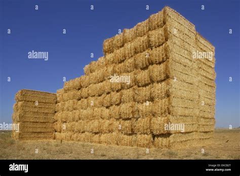 Cereal Barn With Square Shape Stack On Columns Stock Photo Alamy