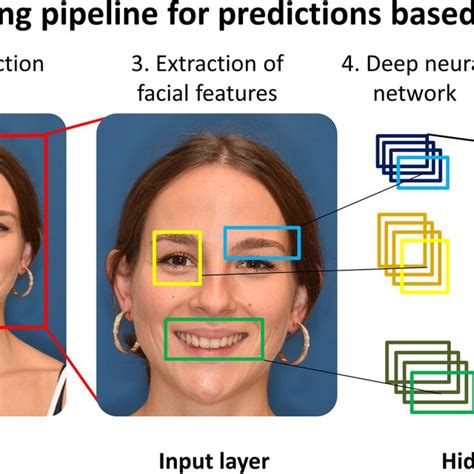typically for 1 an input image 2 the face is first detected and