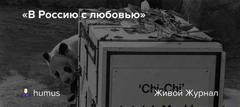 «В Россию с любовью Humus — Livejournal