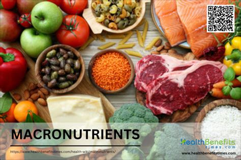 What Is Macronutrients Definition Importance And Food Sources