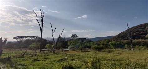 Smart A Digital Monitoring System For Effective Management Of Protected Areas Panorama