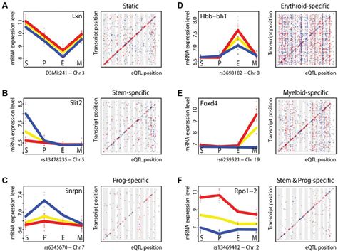 Identification Of Static And Dynamic Eqtls A Genome Wide Download Scientific Diagram