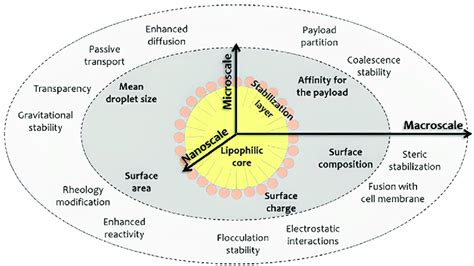 Schematic Representation Of Nanoemulsion And Related Properties At Download Scientific Diagram