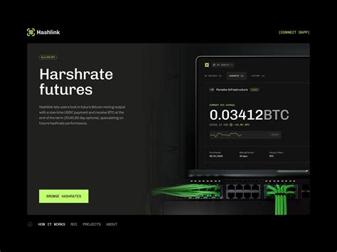 Hashlink Hero By Nicolas Solerieu On Dribbble