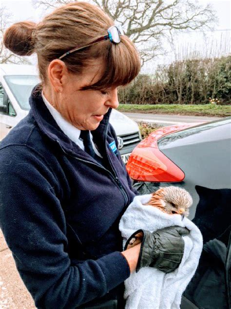 Lucy Pocock Lucypocock Twitter