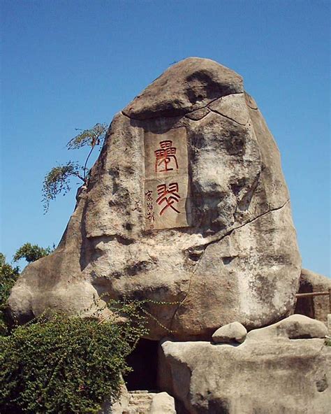 刺桐公园图册 360百科