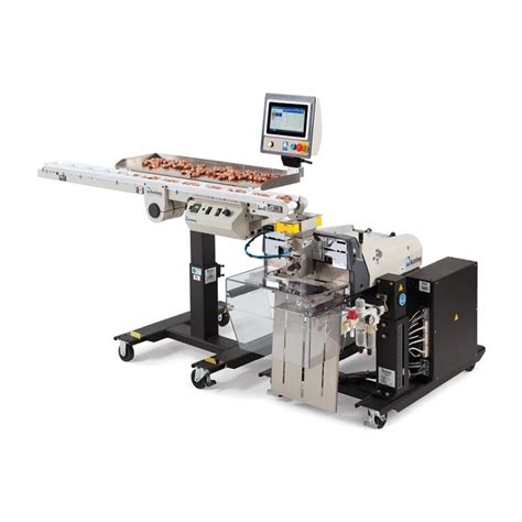 Autobag® Maximizer Continuous Motion Conveyor Max