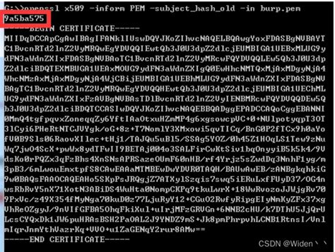 手机抓包 安卓添加burp系统根证书手机安装burp证书 Csdn博客