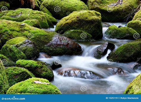 Mossy River Rocks Stock Image Image Of River Moss Mossy 1525119