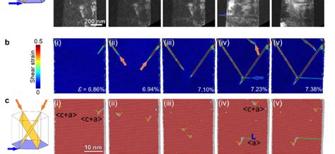 Evolution Of Dislocation Structure In C Axis Mg Pillar During Download Scientific Diagram