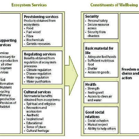 Forest Ecosystem Services Left And Their Link To Human Wellbeing Download Scientific Diagram