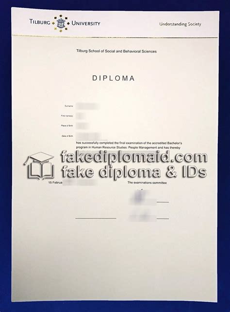 Fake Tilburg University Diploma