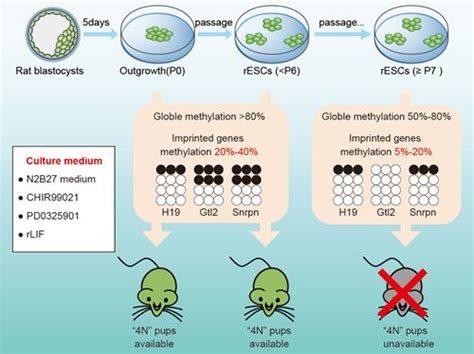 Research Progress Institute Of Zoology Chinese Academy Of Sciences