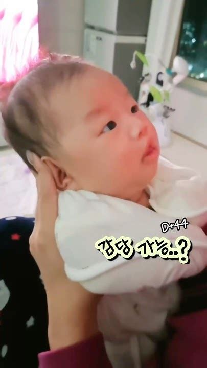 감당 가능하시겠습니까 아기 아기영상 아기쇼츠 육아일기 Shorts 엄마랑 40일아기 Youtube