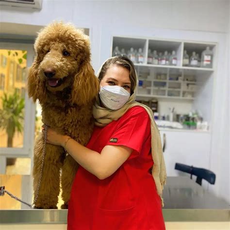 دکتر معصومه محمودی وتوریا