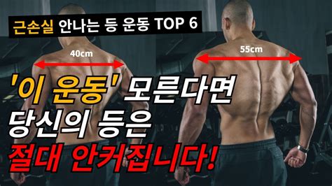 등운동과 광배근 프레임을 넓히는 과학적인 운동방법 광배근운동광배근랫풀다운풀업턱걸이 Youtube