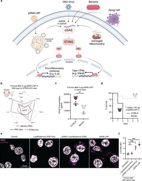 Enabling Non Viral Dna Delivery Using Lipid Nanoparticles Co Loaded